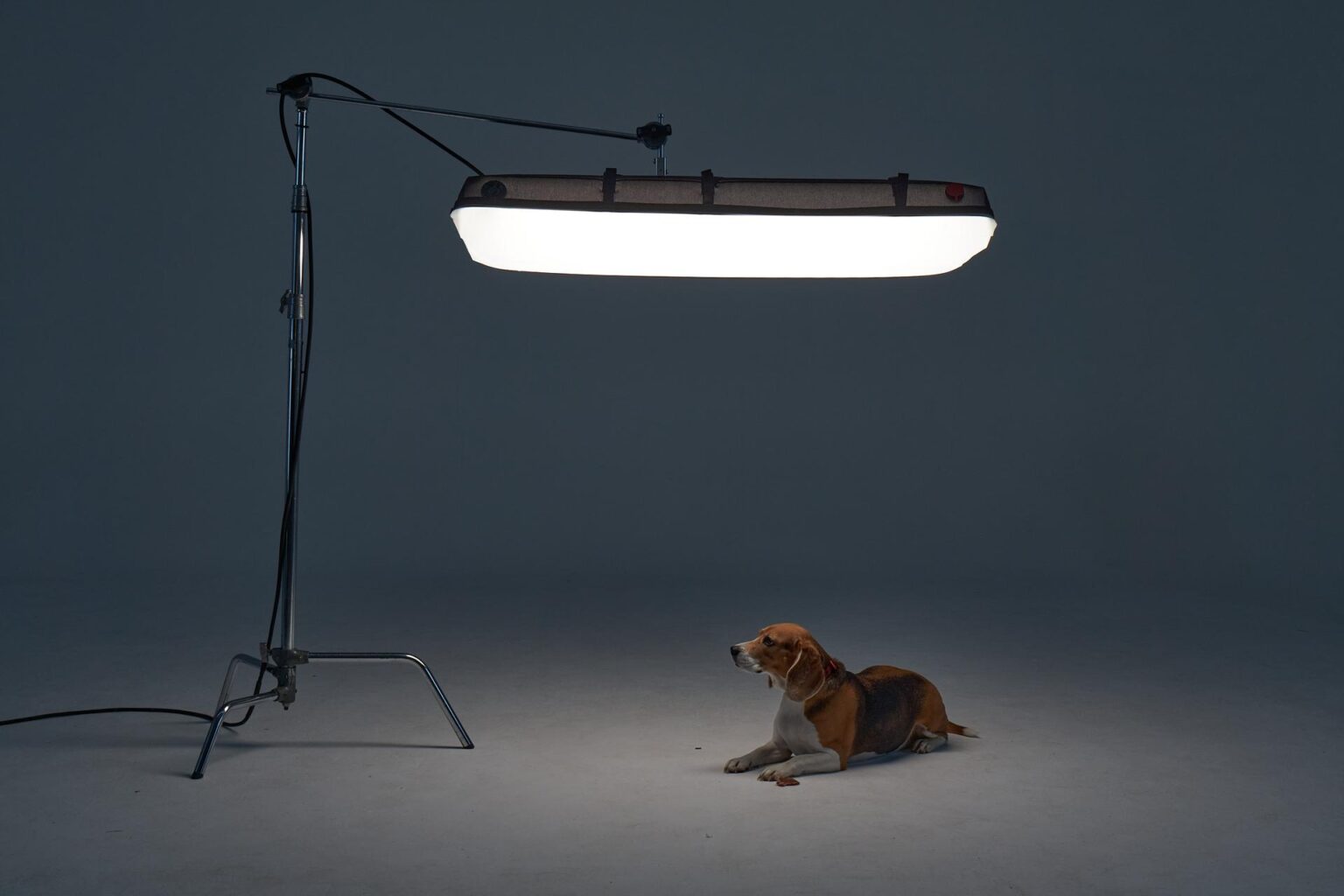LIT Lighting Design Awards 2024: Celebrating Global Innovation in ...